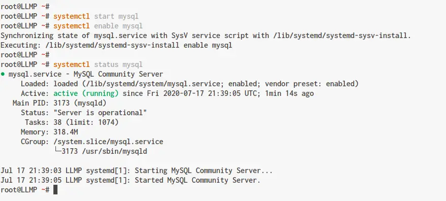 How To Install Lighttpd With Php Fpm And Mysql On Ubuntu Lts