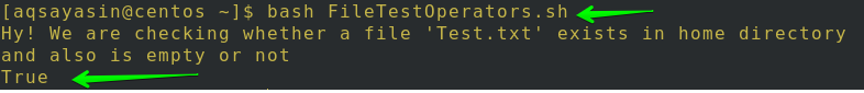 How To Use Bash File Test Operators In Linux