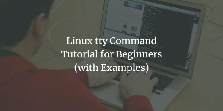 Linux Tty Command Tutorial For Beginners With Examples Techlear