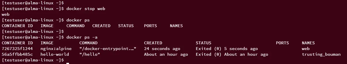 Docker CE on Alma Linux 9: A Quick and Easy Installation Guide