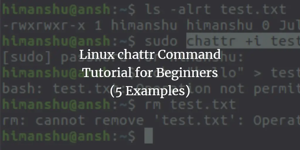 Linux Chattr Command Tutorial For Beginners 5 Examples
