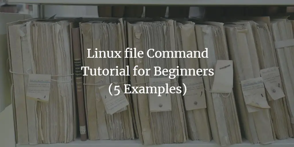 Linux file Command Tutorial for Beginners (5 Examples) Linux file Command Tutorial for Beginners (5 Examples)