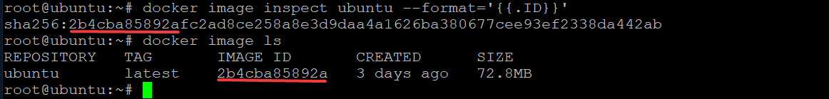 Getting Started with Pre-built Docker Images