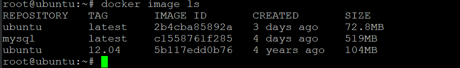 Getting Started with Pre-built Docker Images