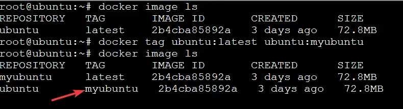 Getting Started with Pre-built Docker Images