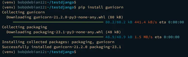 Guide to Install Django Web Framework on Debian 12