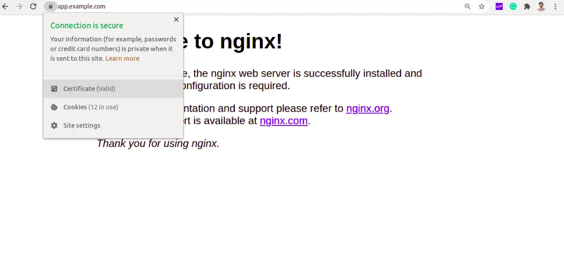 How To Create Locally Trusted Ssl Certificates With Mkcert On Ubuntu 2004