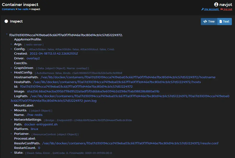 How To Install And Use Portainer For Docker Management With Nginx Proxy
