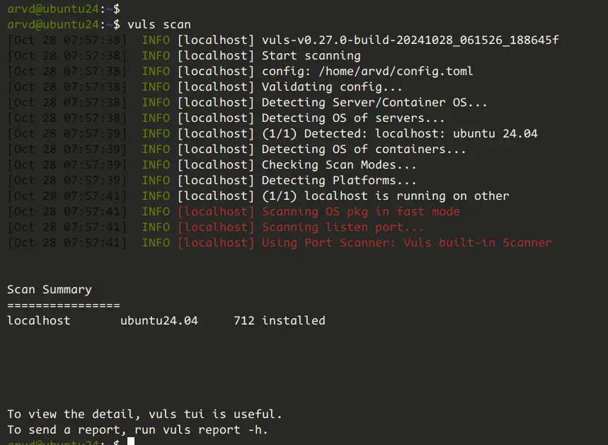 How to Install and Use Vuls Vulnerability Scanner on Ubuntu 24.04