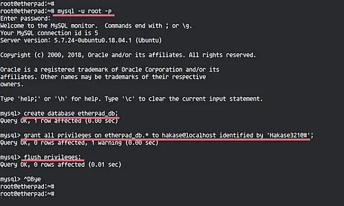 How to Install Collaborative Real-time Editor Etherpad on Ubuntu 18.04 - مدیریت منیج سرور ثبت دامنه