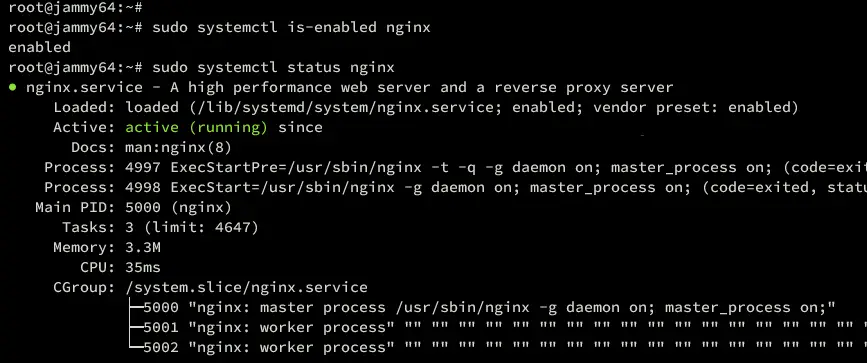 How to Install Fathom Privacy Focused Web Analytics on Ubuntu