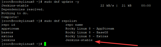 How to Install Jenkins on Rocky Linux 8
