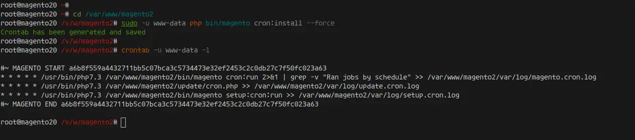 How To Install Magento 2 With Nginx And Lets Encrypt Ssl On Ubuntu 2004 Lts