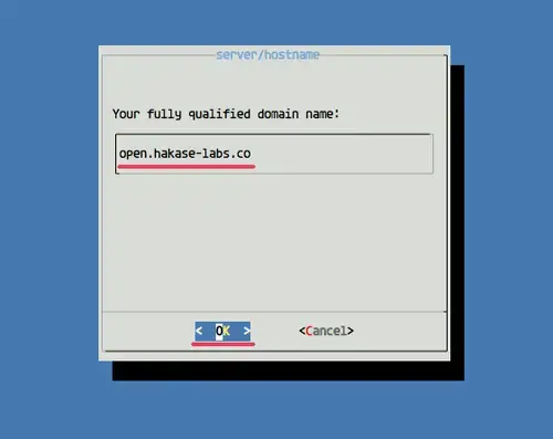 How to Install OpenProject on Ubuntu 16.04_ubuntu openproject-CSDN博客