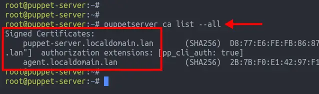 How to Install Puppet Server and Agent on Debian 11