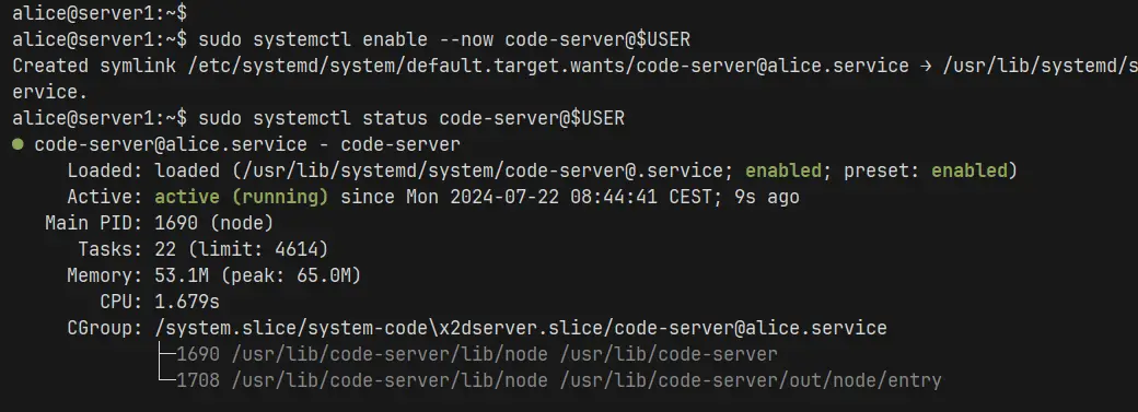 How to Install Visual Studio Code Cloud IDE on Ubuntu 24.04 Server