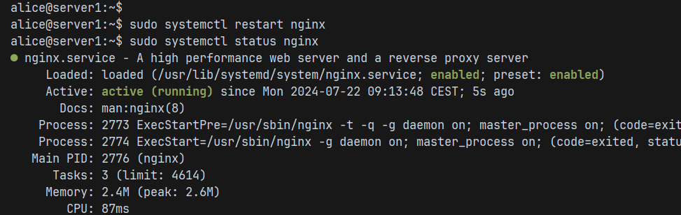 How to Install Visual Studio Code Cloud IDE on Ubuntu 24.04 Server