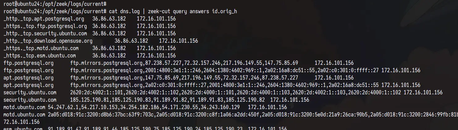 How To Install Zeek Network Security Monitoring Tool On Ubuntu 2404