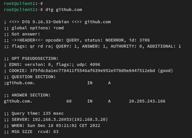 How to Set Up Local DNS with Dnsmasq on Debian 12