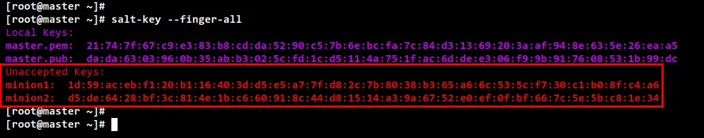 How to Setup SaltStack Master and Minion on Rocky Linux