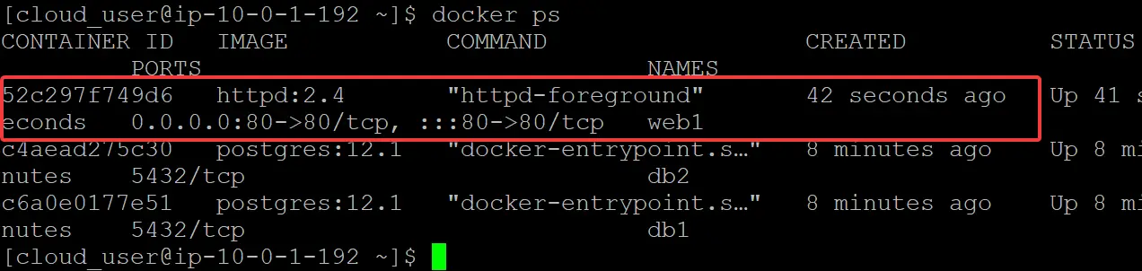 How to Store Docker Container Data In Docker Volumes