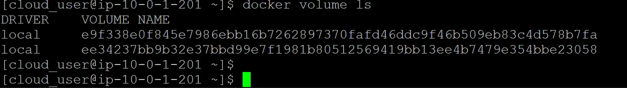 How to Store Docker Container Data In Docker Volumes