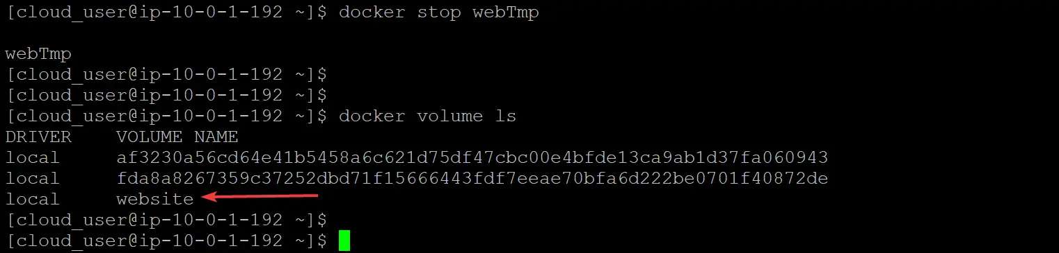 How to Store Docker Container Data In Docker Volumes