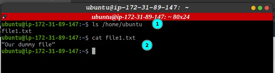 How to upload local files to Amazon EC2 instance using Terraform