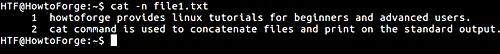 10 Linux Cat Command Examples for Beginners